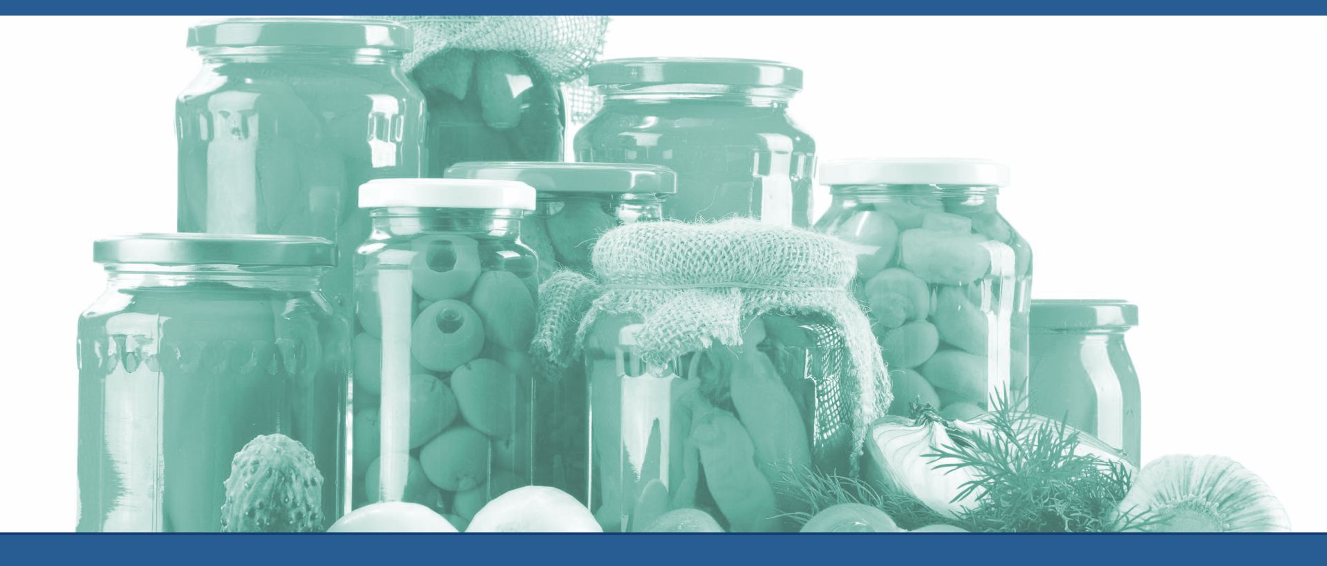 Welcome to Stellar Exports, Stellar Exports is an India based company engaged in Export Import ...